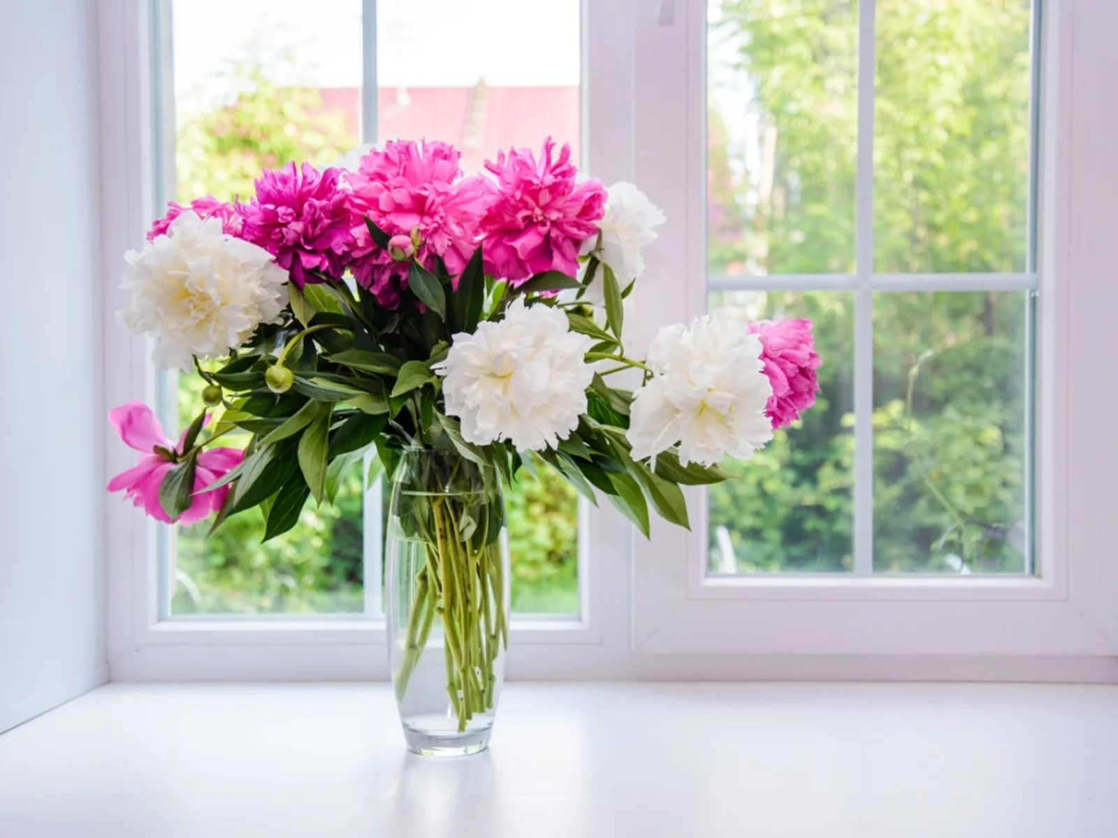 7 Main Things to Know About Fresh Flowers - Flowerexpression