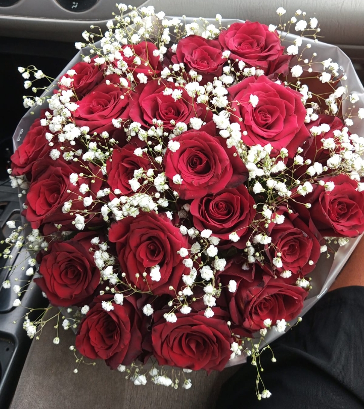 Red roses – Flowerexpression