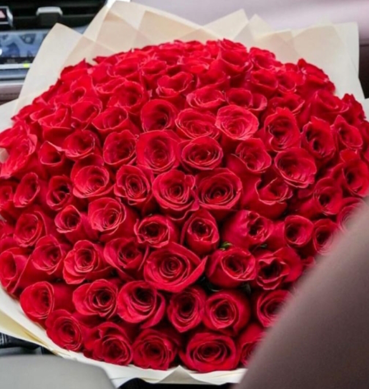 Red roses – Flowerexpression