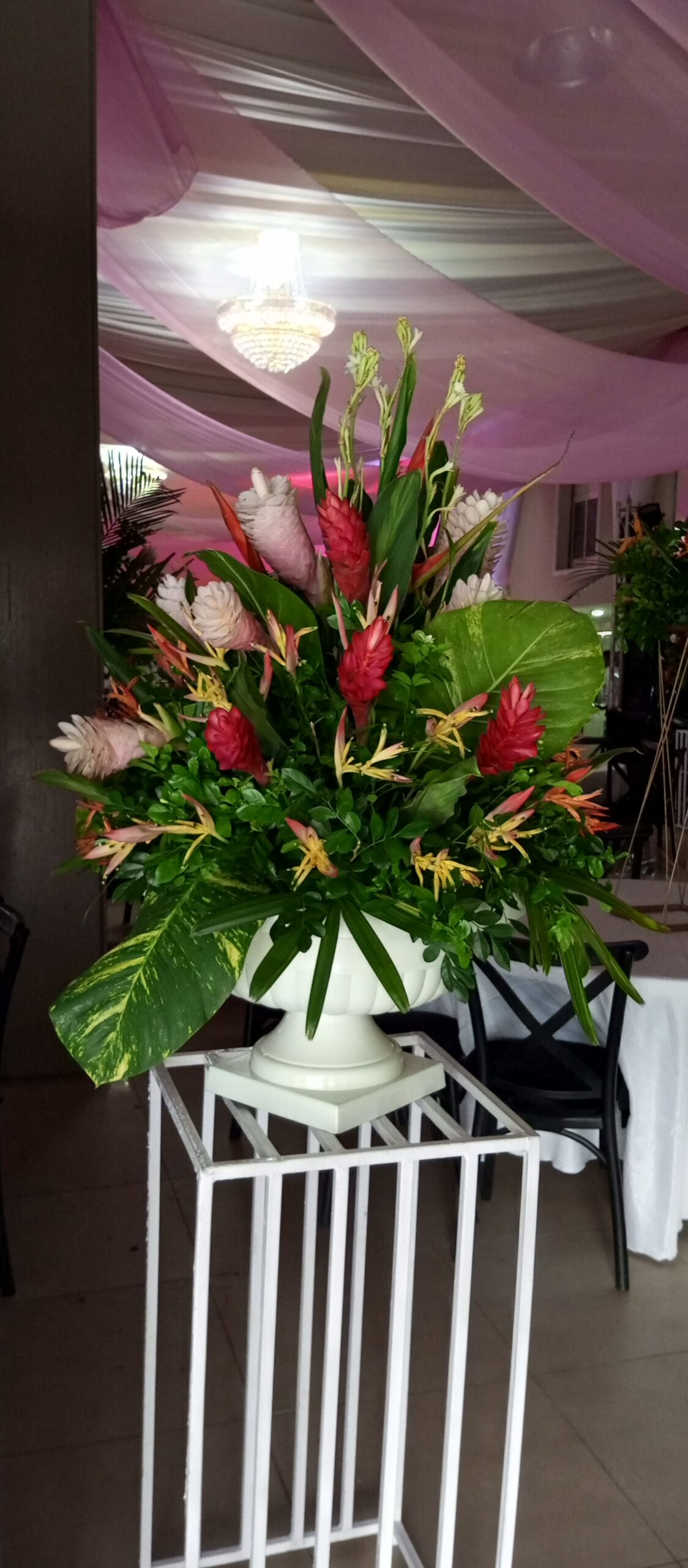 Tropical flora design – Flowerexpression